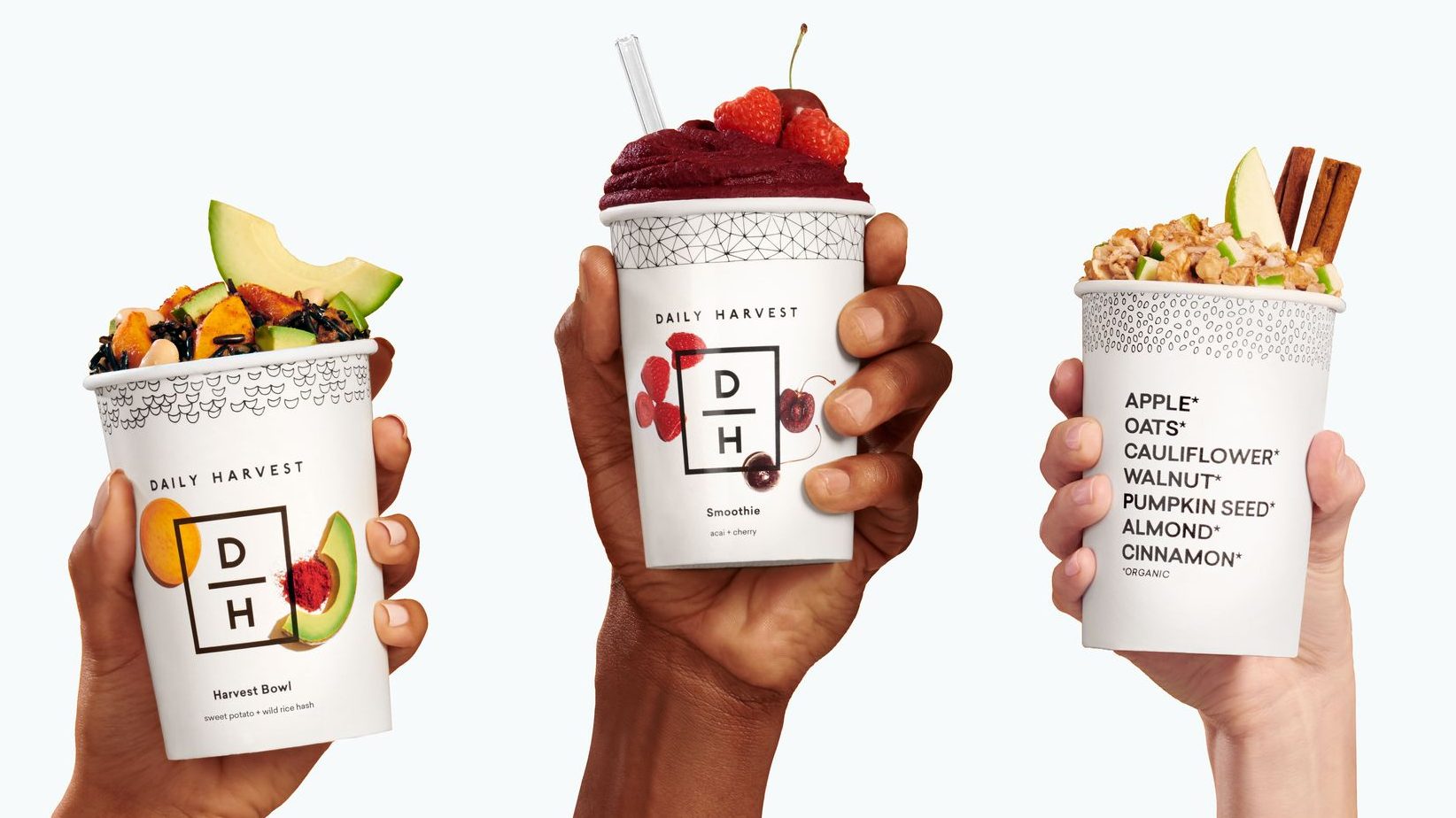 daily-harvest – Camryn Rabideau